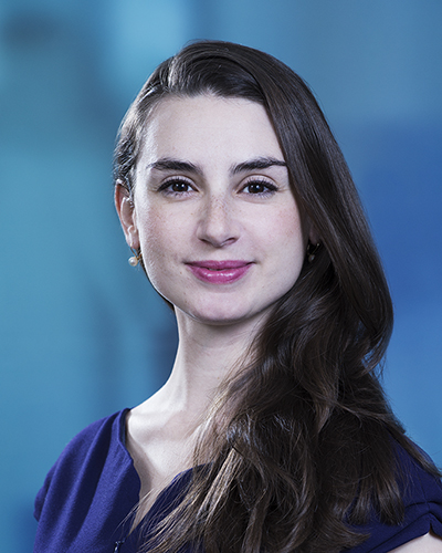 Gategroup: implications for the recognition of English restructuring ...