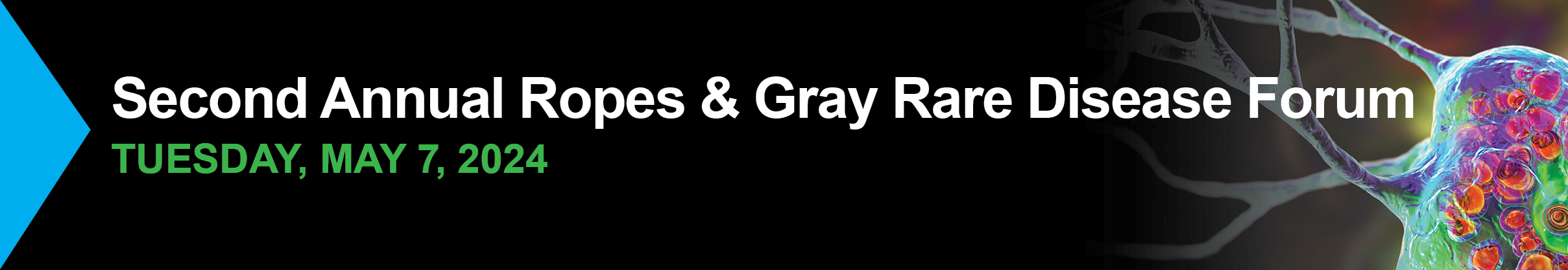 2nd Annual Ropes & Gray Rare Disease Forum | News & Events | Ropes ...