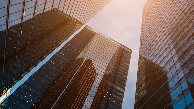 YA Group Announces a Majority Investment from THL Partners | News ...