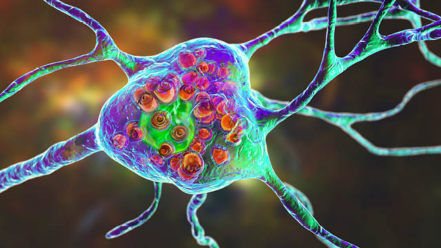 Ropes & Gray Advises Zai Lab on $200 Million Secondary Offering | News ...