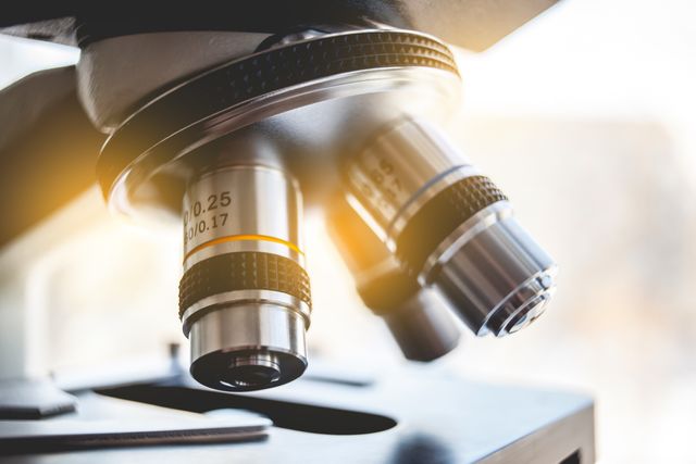 Life sciences: Innovation, patients and access under the microscope ...