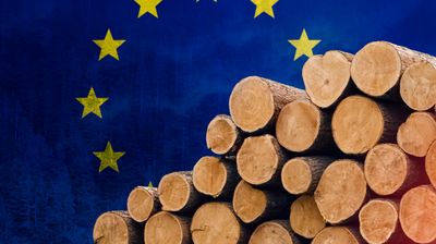EU Deforestation Regulation Update – a Commission Report, New FAQs and ...